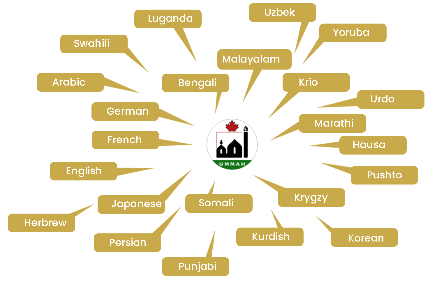 discover-now – Ummah Society